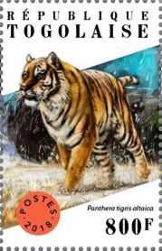 Stamp: Panthera tigris altaica (Togo(Tigers (2018)) Mi:TG 9072,Yt:TG 6369