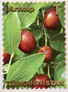 Stamp: Arnap (Turkmenistan(Flowers (2020)) Col:TM 2020-01C