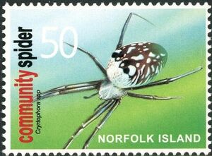 Stamp: Community Spider (Cyrtophora sp.) (Norfolk Island) (Spiders) Mi ...