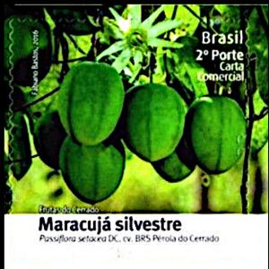Stamp: Maracuja silvestre (Passiflora setacea) (Brazil(Fruits of the ...