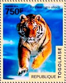 Stamp: Panthera tigris altaica (Togo(Tigers (2014)) Mi:TG 6158,Yt:TG 4152
