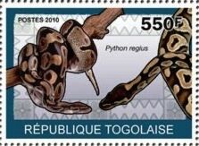 Stamp: Python regius (Togo) (Reptiles (2010)) Mi:TG 3421