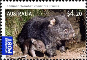 Stamp: Common Wombat (Vombatus ursinus) (Australia(International Post ...