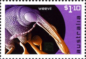 Stamp: Weevil (Australia(Micro Monsters) Mi:AU 3245I,Sn:AU 3119,Yt:AU ...