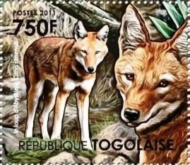 Stamp: Ethiopian Wolf (Canis simensis) (Togo(Ecosystems - Ethiopia ...