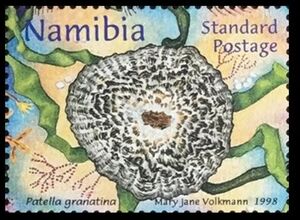 Stamp: Granite Limpet (Patella granatina) (Namibia(Shells) Mi:NA 942,Sn ...