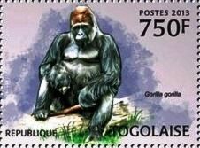 Stamp: Gorilla gorilla (Togo) (West African Fauna - Gorillas (2013)) Mi ...