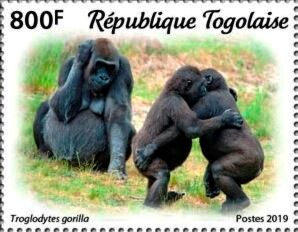 Stamp: Troglodytes gorilla (Togo(Gorillas (2019)) Yt:TG 7450