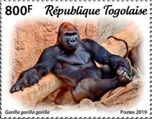 Stamp: Gorilla gorilla gorilla (Togo(Gorillas (2019)) Col:TG 2019-437c