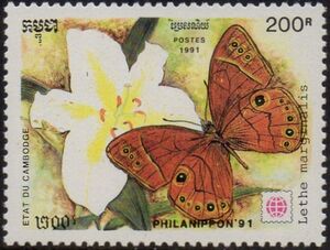 Stamp: Butterfly (Lethe marginalis) (Cambodia(International Stamp ...
