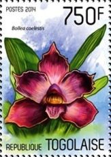 Stamp: Bollea coelestis (Togo(Orchids (2014:1)) Mi:TG 5682