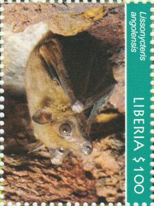Stamp: Angolan Fruit Bat (Lissonycteris angolensis) (Liberia(Bats of ...