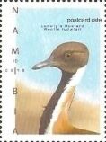 Stamp: Neotis ludwigii (Namibia(Bustards and Korhaans) Mi:NA 1350,Sn:NA ...
