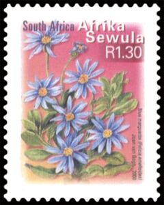 Stamp: Blue Marguerite (Felicia amelloides) - Afrika Sewula (South ...