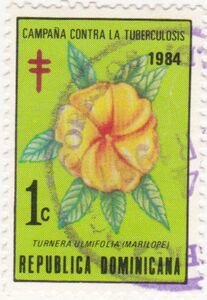 Stamp: Marilope (Turnera ulmifolia) (Dominican RepublicMi:DO Z88,Sn:DO RA99