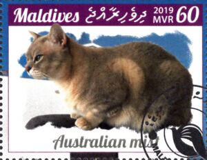 Stamp: Cat (Maldives) (Cats (2019)) Mi:MV 8630