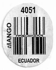 Fruit Sticker: Mango (EcuadorCol:EC-FR-00864