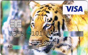 Bank Card: Tiger (ING Bank Śląski SA, PolandCol:PL-VI-0423.02