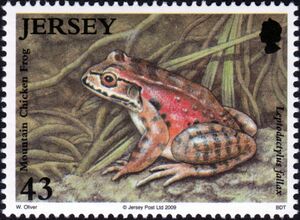 Stamp: Mountain Chicken Frog (Leptodactylus fallax) (Jersey ...