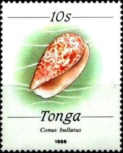 Stamp: Bubble Cone (Conus bullatus) (Tonga(Marine Life (1987-1990)) Mi ...
