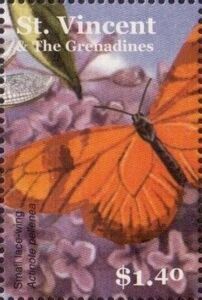 Stamp: Actinote pellenea (Saint Vincent and The Grenadines(Insects ...