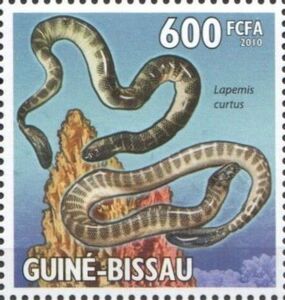 Stamp: Lapemis curtus (Guinea-Bissau(Sea Snakes (2010)) Mi:GW 4571