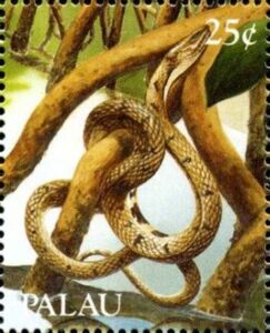 Stamp: Dog-faced Watter-Snake (Cerberus rhynchops) (Palau) (Stilt ...