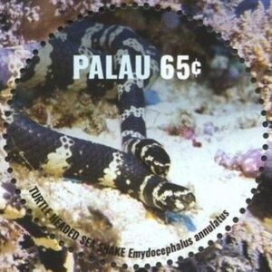 Stamp: Emydocephalus annulatus (Palau(Snakes) Mi:PW 3736,Yt:PW 3150