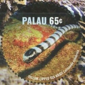 Stamp: Laticauda colubrina (Palau(Snakes) Mi:PW 3739,Yt:PW 3153