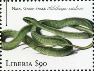 Stamp: Philothamnus natalensis (Liberia(Wildlife of Africa) Mi:LR 6054