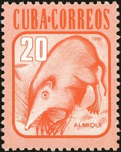 Stamp: Cuban Solenodon (Atopogale cubana) (Cuba(Fauna (1981)) Mi:CU ...