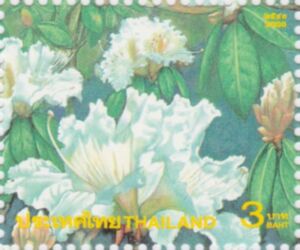 Stamp: Flowers (Thailand(Meadow of Kulap Khao) Mi:TH 1991,Sn:TH 1924h ...