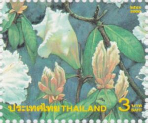 Stamp: Flowers (Thailand(Meadow of Kulap Khao) Mi:TH 1995,Sn:TH 1924l ...