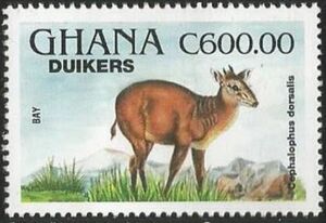 Stamp: Cephalophus dorsalis (Ghana) (Duikers (Antelopes)) Mi:GH 2085,Sn ...