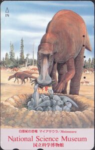 Phonecard: Maiasaura - National Science Museum (NTT, Japan(110-011 ...