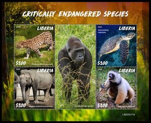 Stamp: Critically Endangered Species (Liberia(Endangered Species (2020 ...