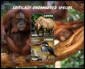 Stamp: Critically Endangered Species (Liberia(Endangered Species (2020 ...