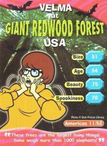 Game Card: Velma at Giant Redwood Forest USA (Scooby-Doo World of ...
