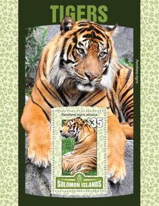 Stamp: Tiger (Panthera tigris altaica) (Solomon Islands(Tigers (2016 ...