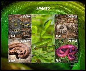 Stamp: Various Snakes (Liberia(Snakes (2020)) Sn:LR 3410,Yt:LR 6353-6356