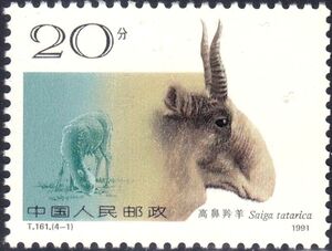 Stamp: Saiga Antelope (Saiga tatarica) (China, People's Republic ...