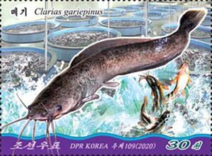 Briefmarke: African Sharptooth Catfish (Clarias gariepinus) (Nordkorea ...