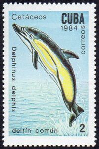 Stamp: Common Dolphin (Delphinus delphis) (Cuba(Whales and dolphins) Mi ...