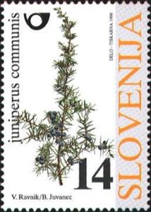 Stamp: Common Juniper (Juniperus communis) (Slovenia(Flora - Coniferous ...