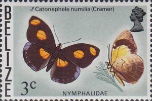 Stamp: Stoplight Catone (Catonephele numilia) (Belize(Butterflies ...