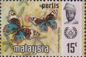 Stamp: Blue Pansy (Precis orithya ssp. wallacei) (Perlis(Butterflies ...