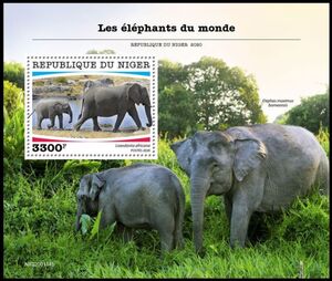 Stamp: Loxodonta africana (Niger(Elephants (2020)) Yt:NE BF1156