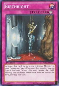Game Card: Birthright (Yu-Gi-Oh(Starter Deck: Kaiba Reloaded)
