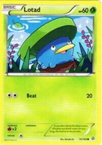 Game Card: Lotad (Pokémon TCG(XY - Primal Clash) 🃏