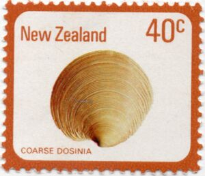 Stamp: Coarse Dosinia (Dosinia anus) (New Zealand(Definitives 1978-80 ...